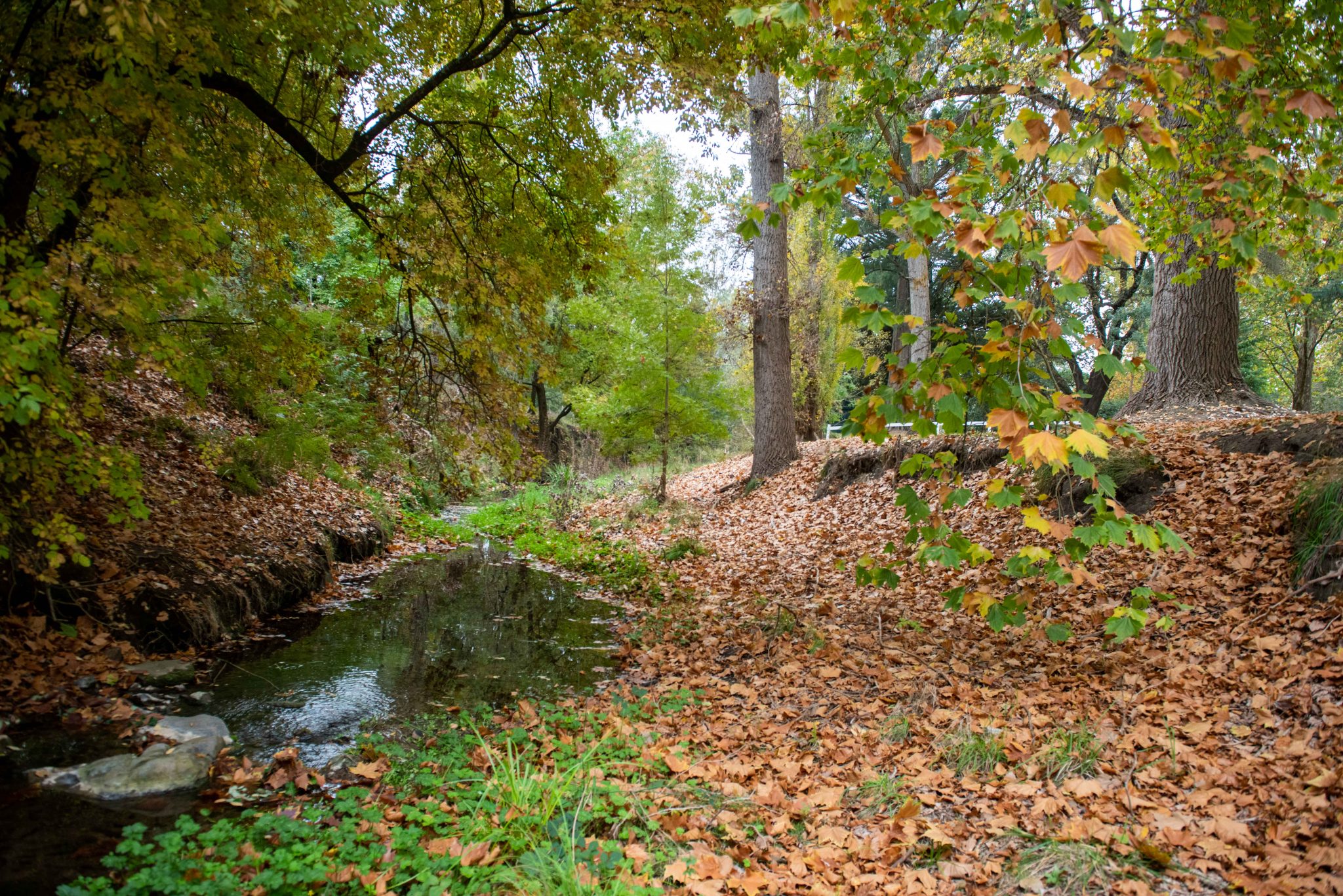 Our Country | Gunaikurnai Land and Waters Aboriginal Corporation