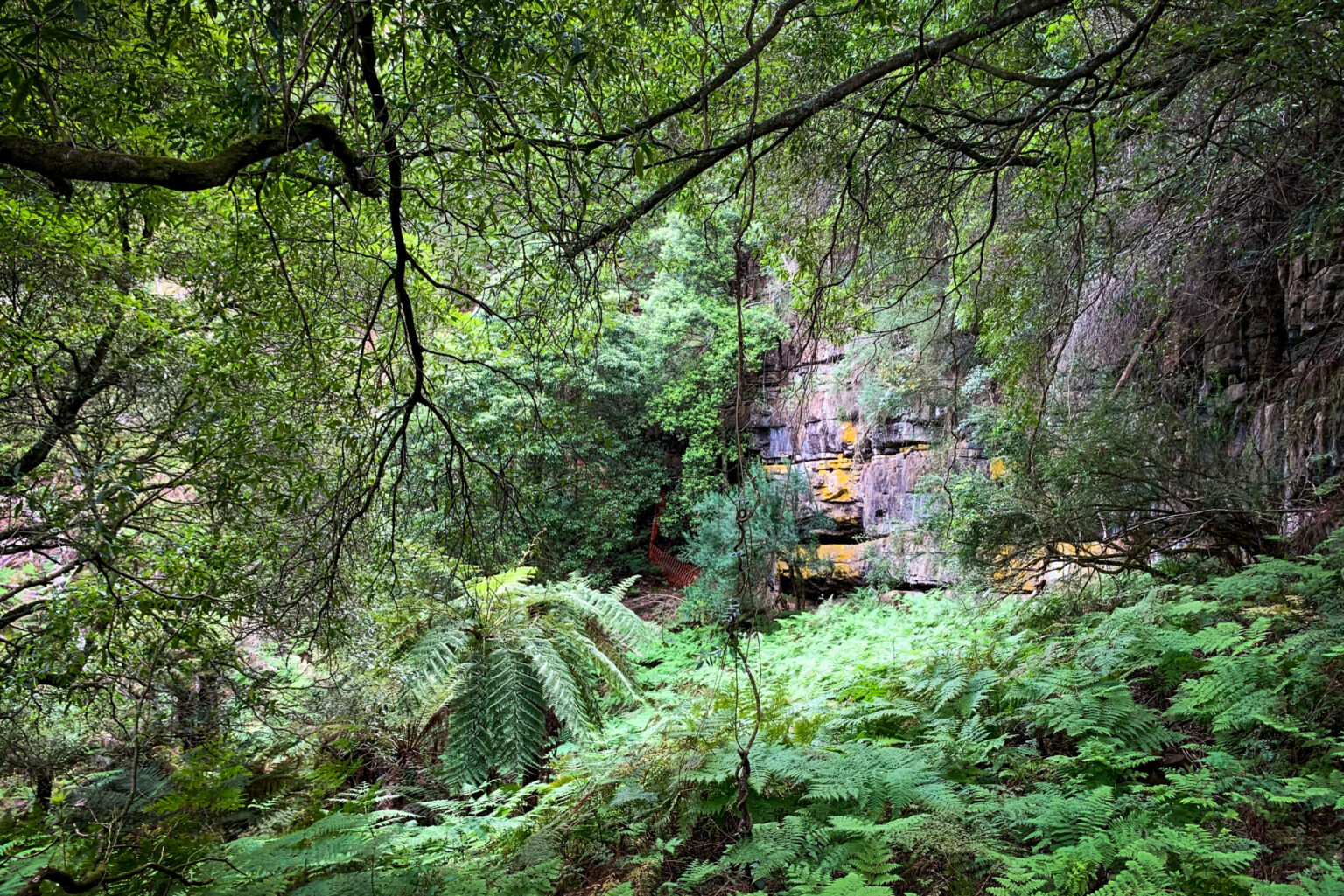 Our Country | Gunaikurnai Land and Waters Aboriginal Corporation