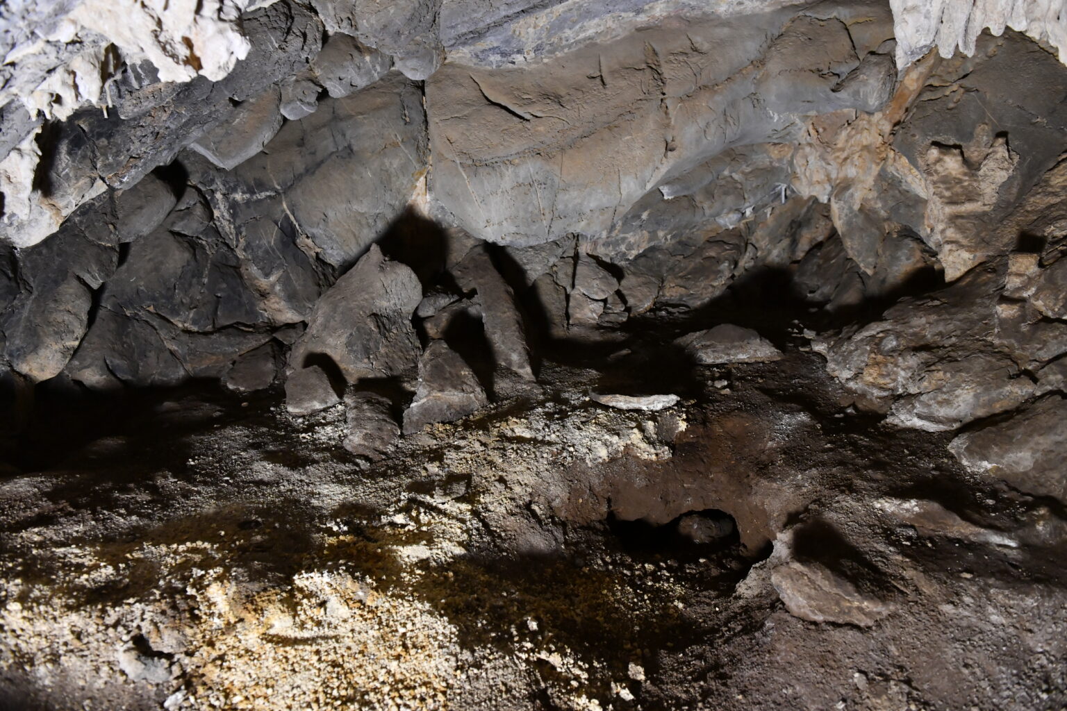 Cultural Heritage Research | Gunaikurnai Land and Waters Aboriginal ...