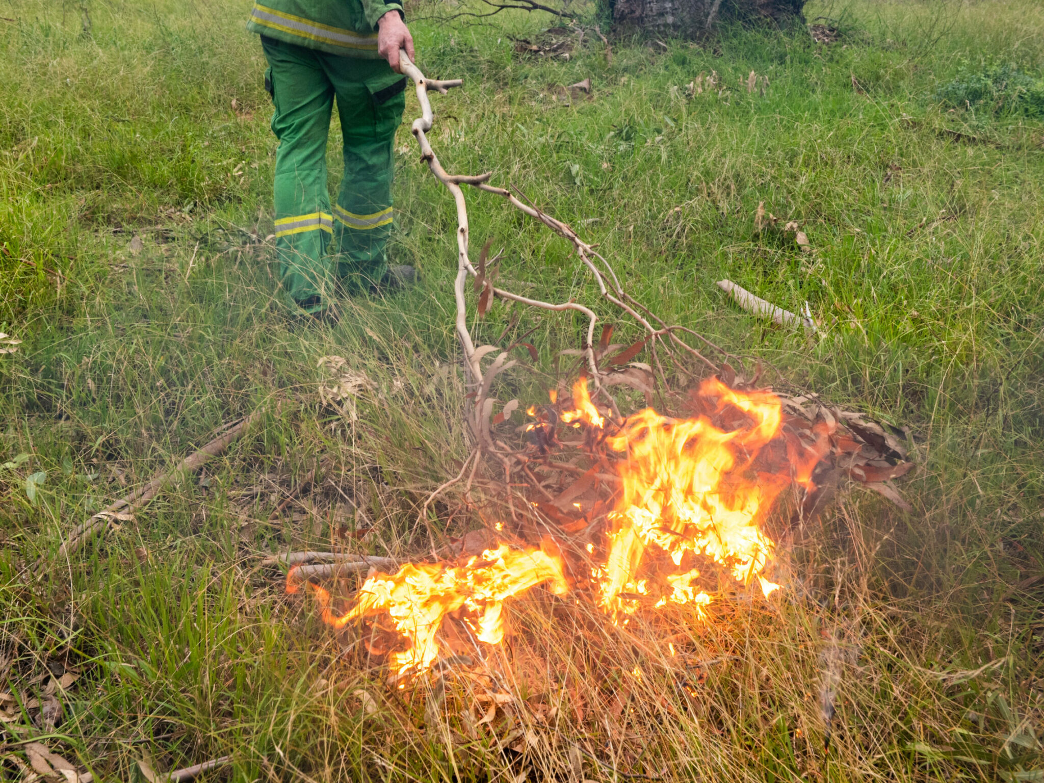 Cultural Fire | Gunaikurnai Land and Waters Aboriginal Corporation