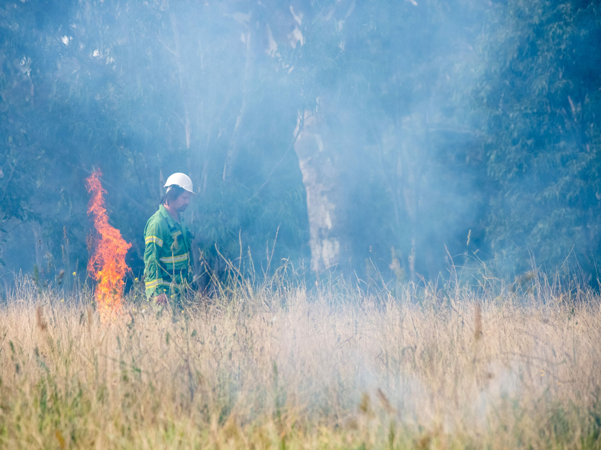 Cultural Fire | Gunaikurnai Land and Waters Aboriginal Corporation