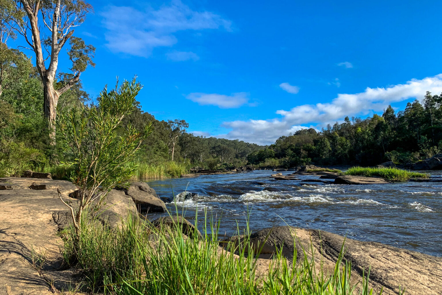 Our Country | Gunaikurnai Land and Waters Aboriginal Corporation
