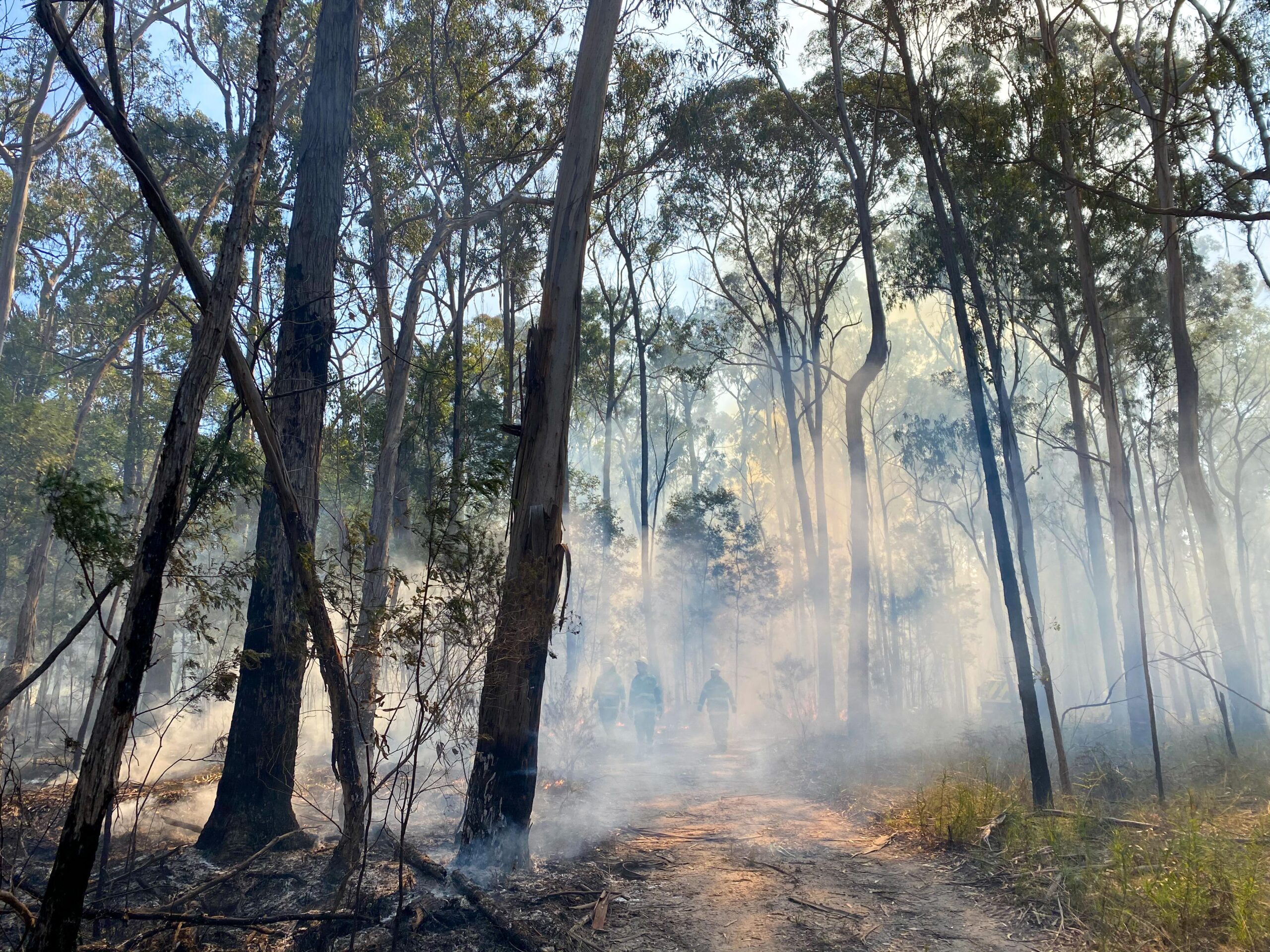 Cultural Fire | Gunaikurnai Land and Waters Aboriginal Corporation