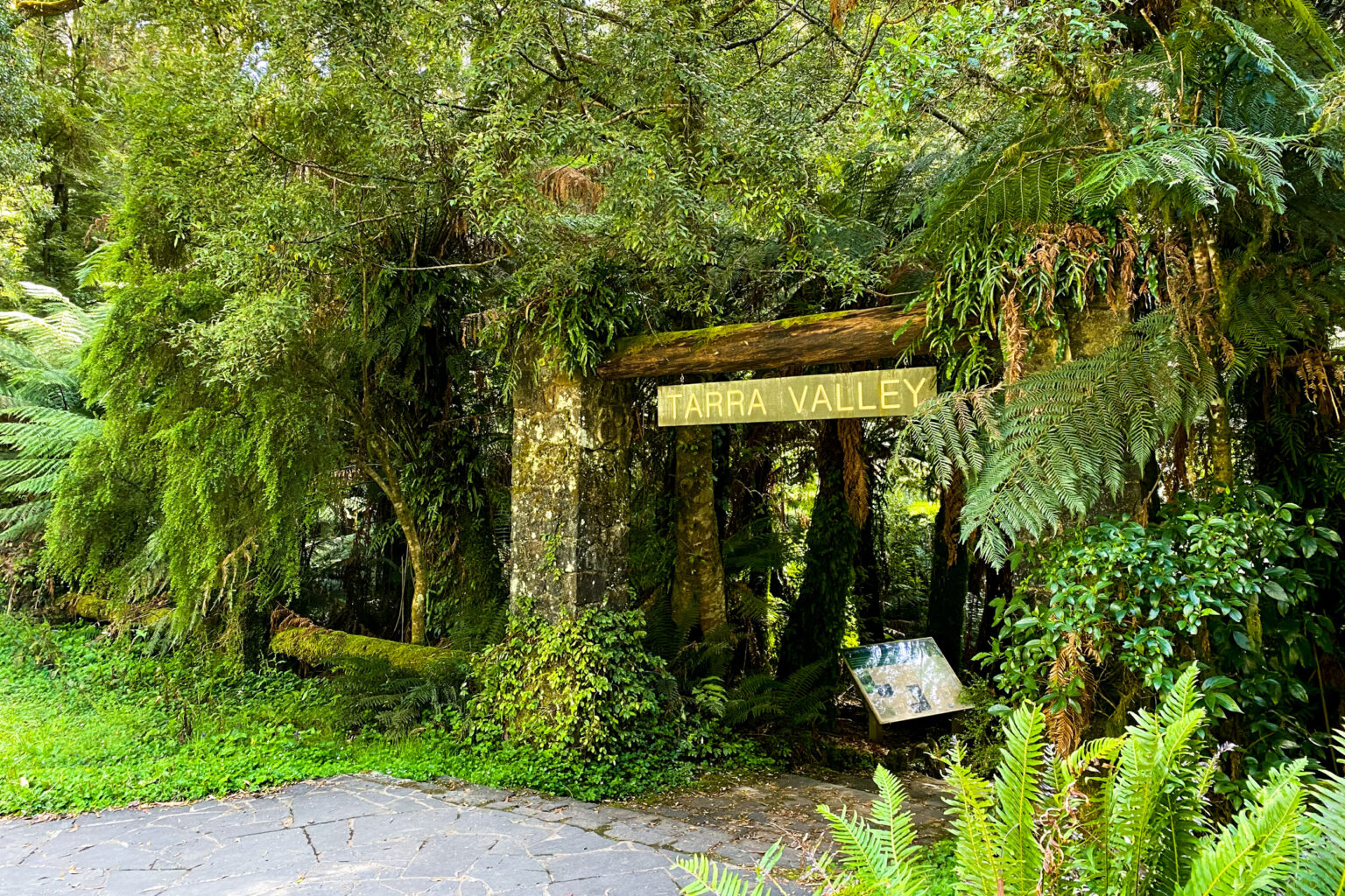 Tarra-Bulga National Park | Gunaikurnai Land and Waters Aboriginal ...