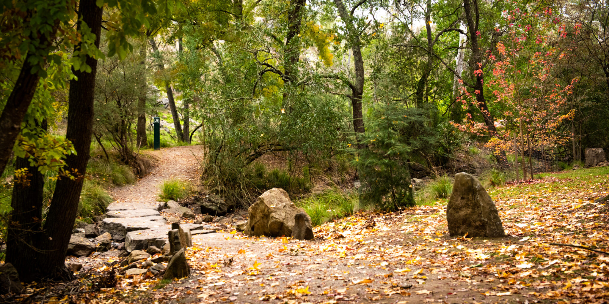 Buchan Caves Reserve | Gunaikurnai Land and Waters Aboriginal Corporation