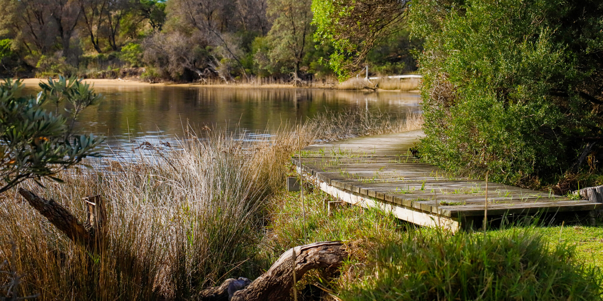 Corringle Foreshore Reserve | Gunaikurnai Land and Waters Aboriginal ...