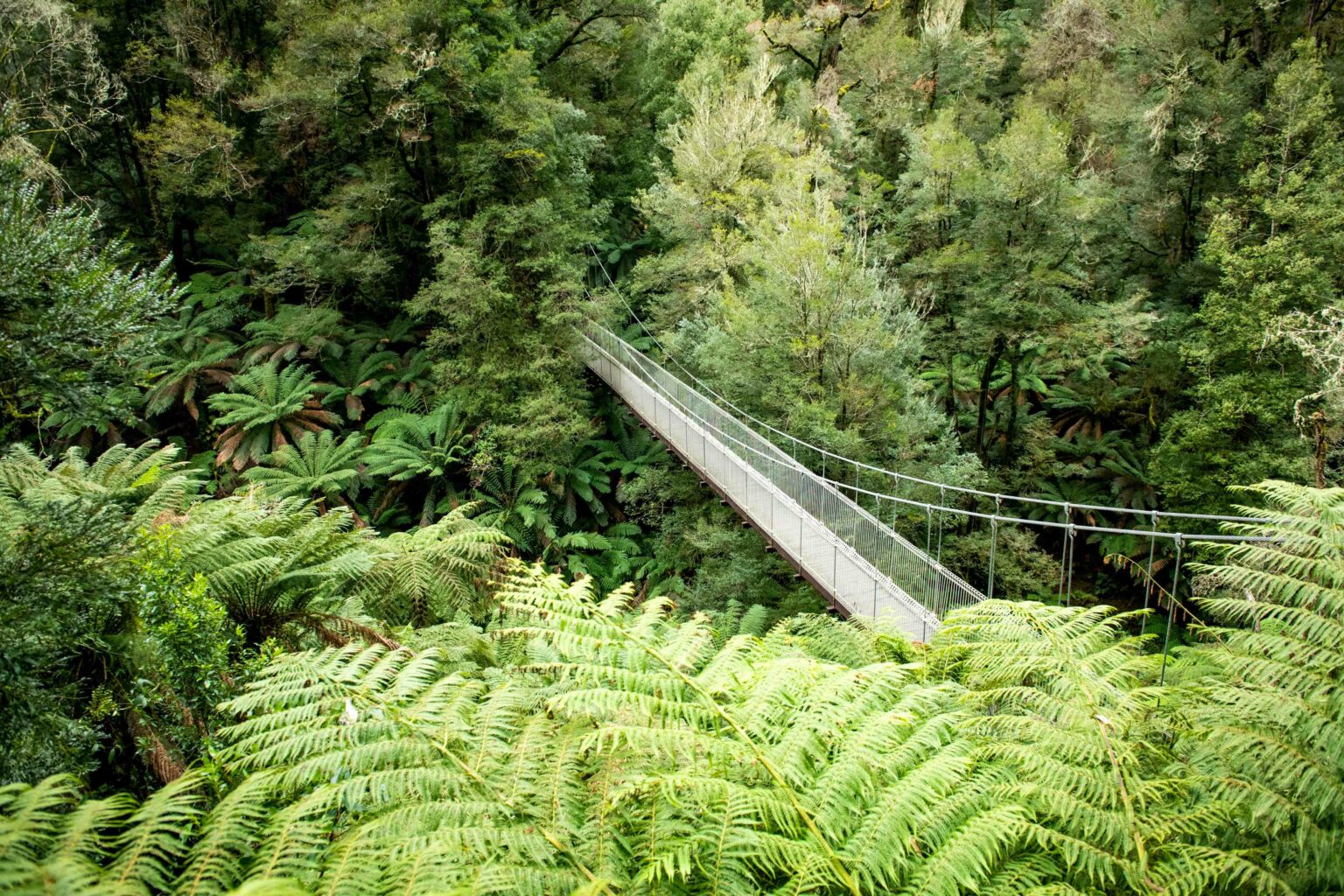 Our Country | Gunaikurnai Land and Waters Aboriginal Corporation
