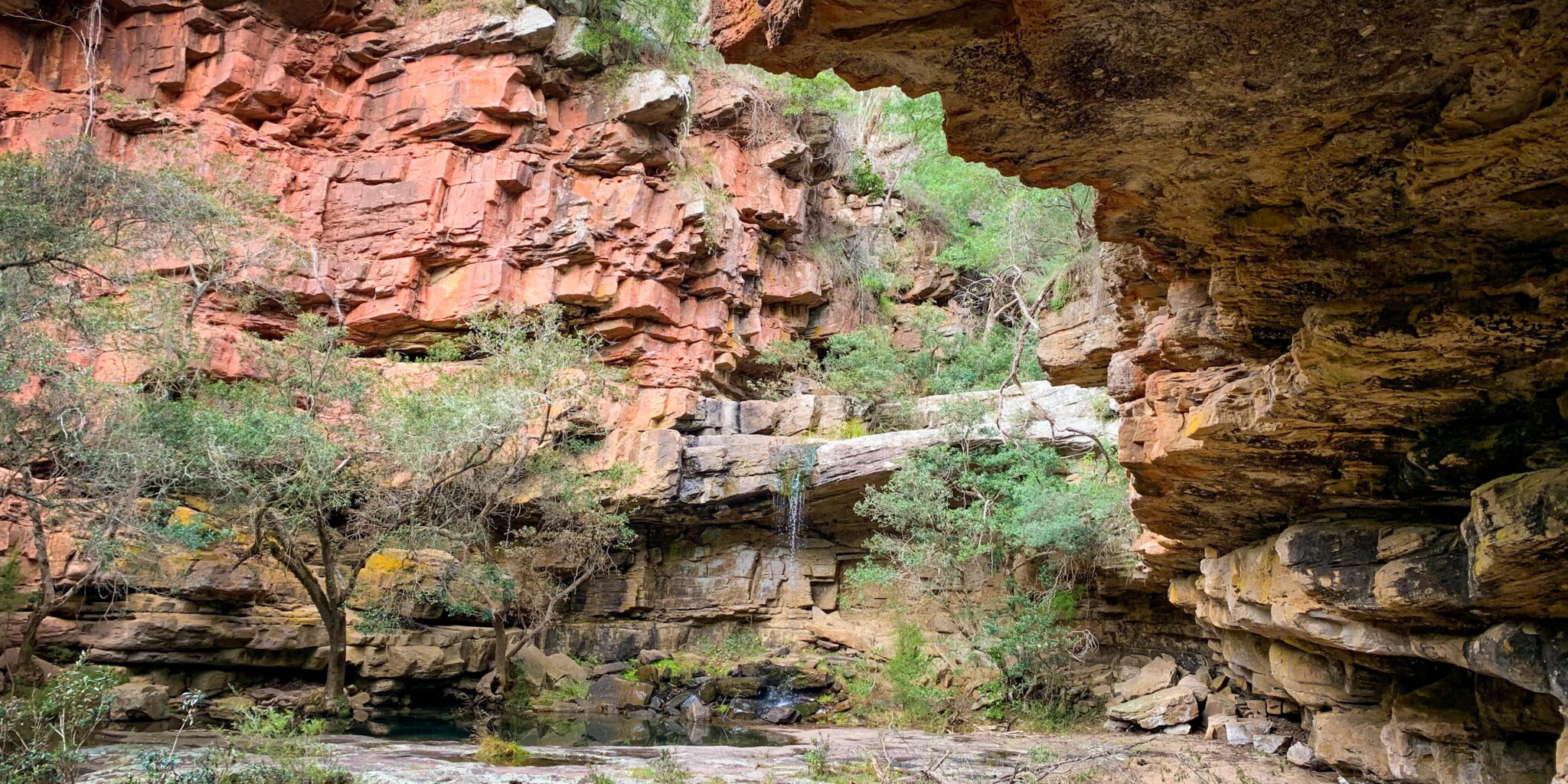 Mitchell River National Park | Gunaikurnai Land and Waters Aboriginal ...