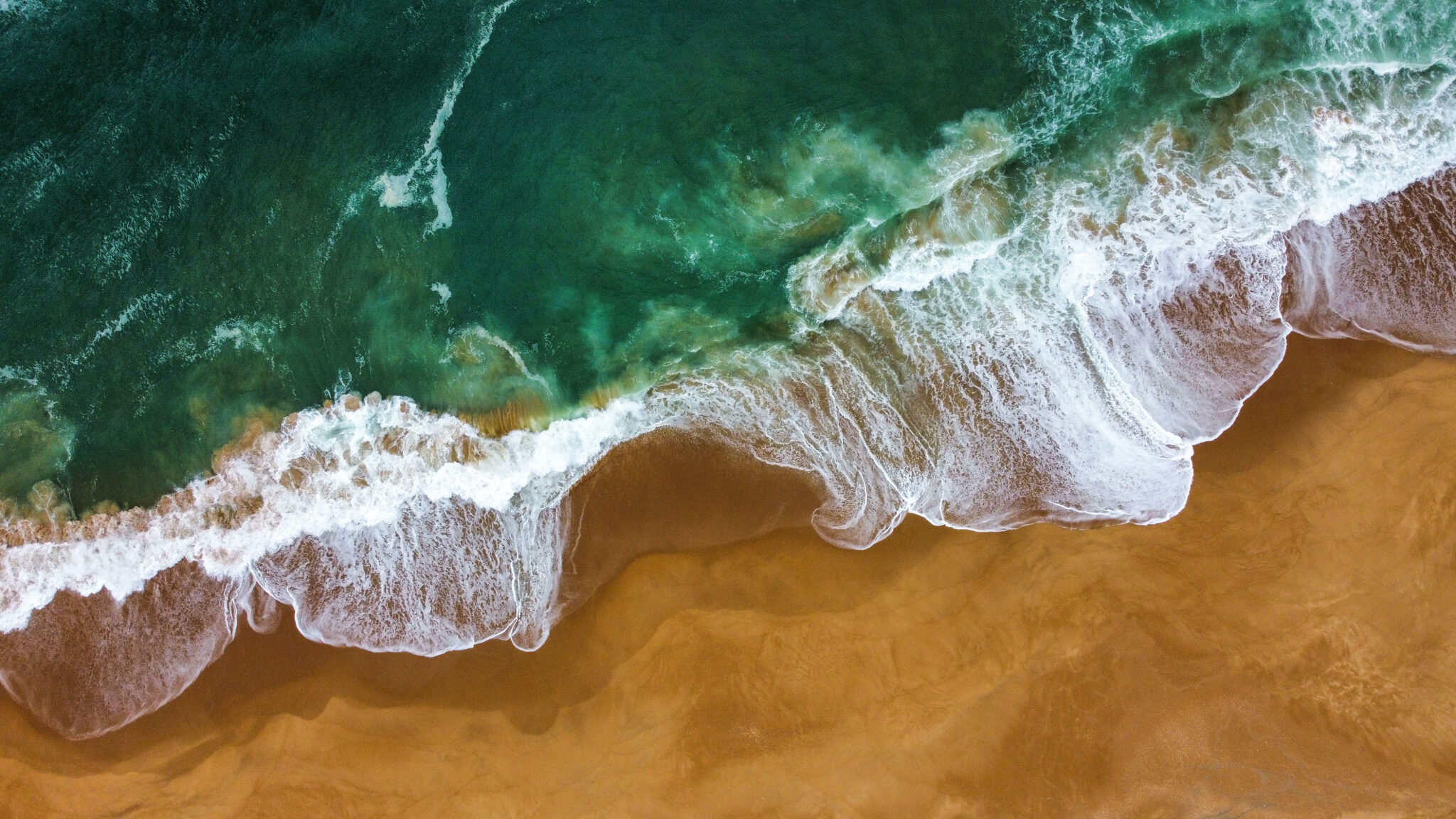 Sea Country | Gunaikurnai Land and Waters Aboriginal Corporation