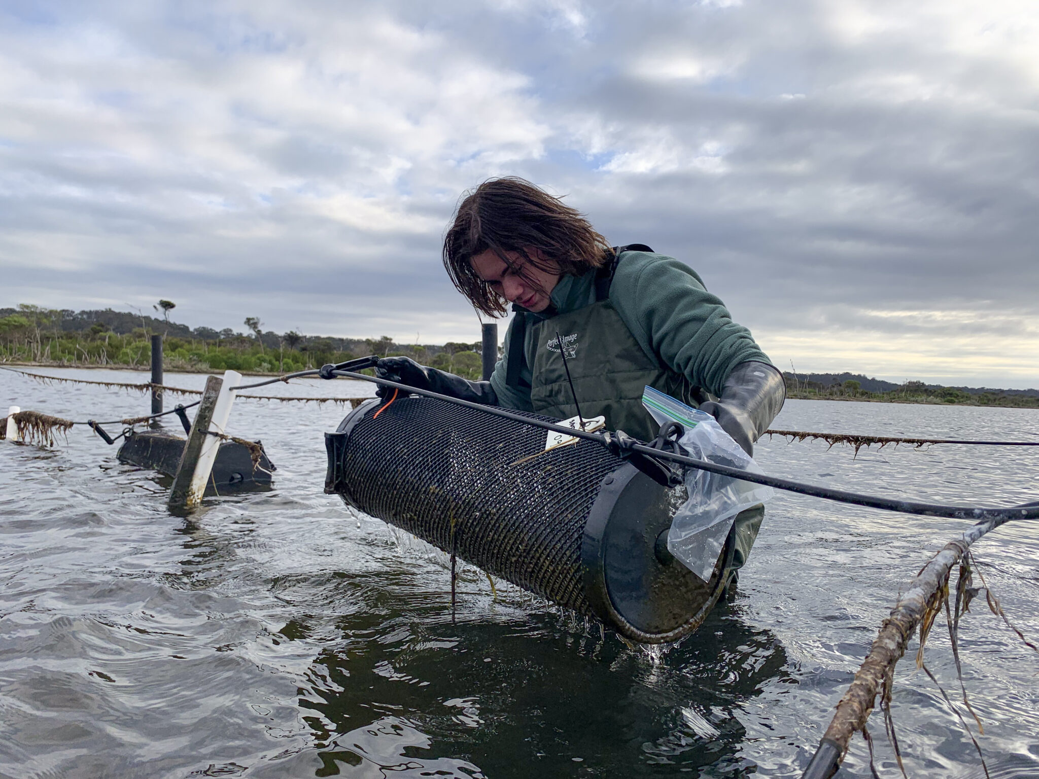 Oyster Trials | Gunaikurnai Land and Waters Aboriginal Corporation