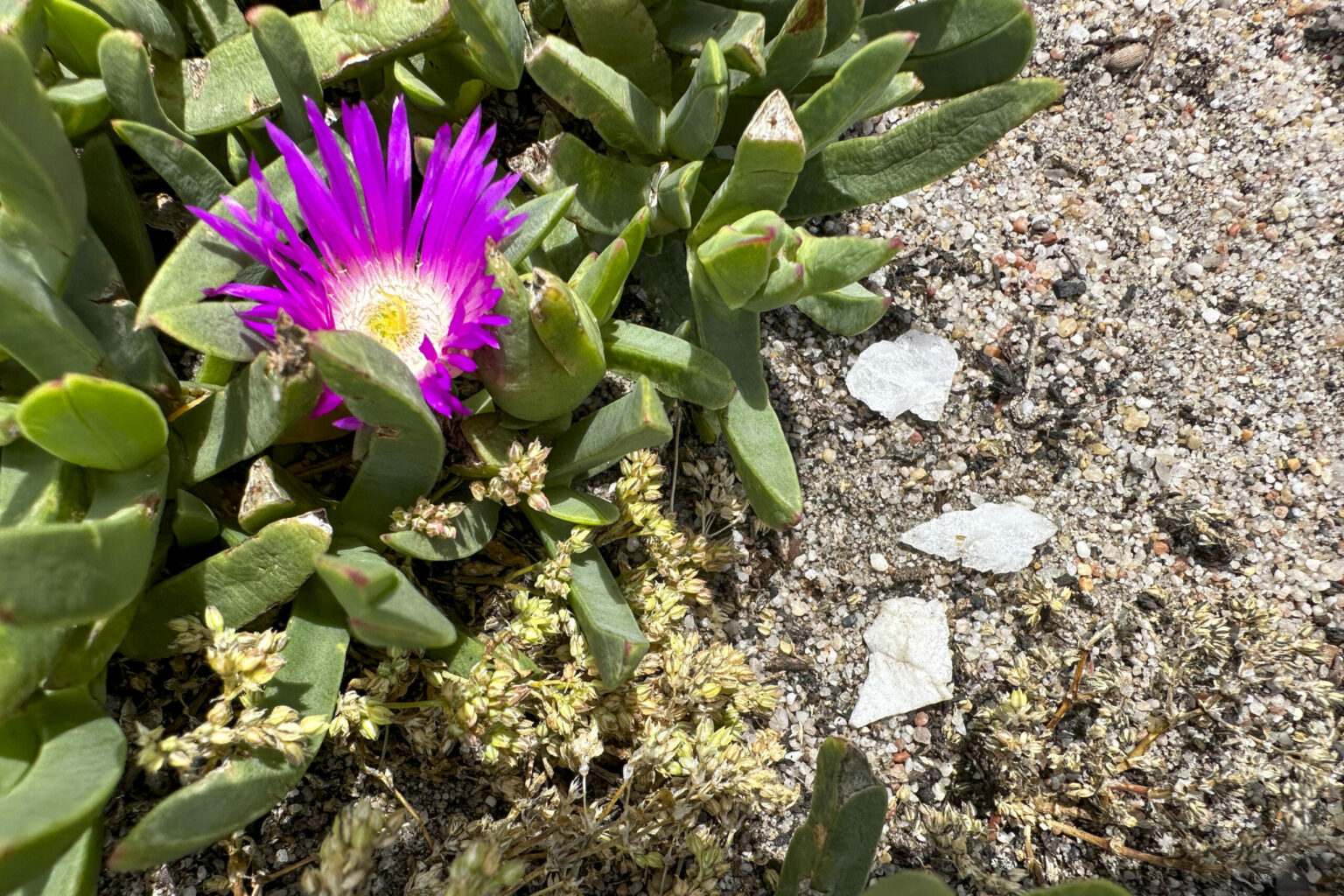 Our Country | Gunaikurnai Land and Waters Aboriginal Corporation