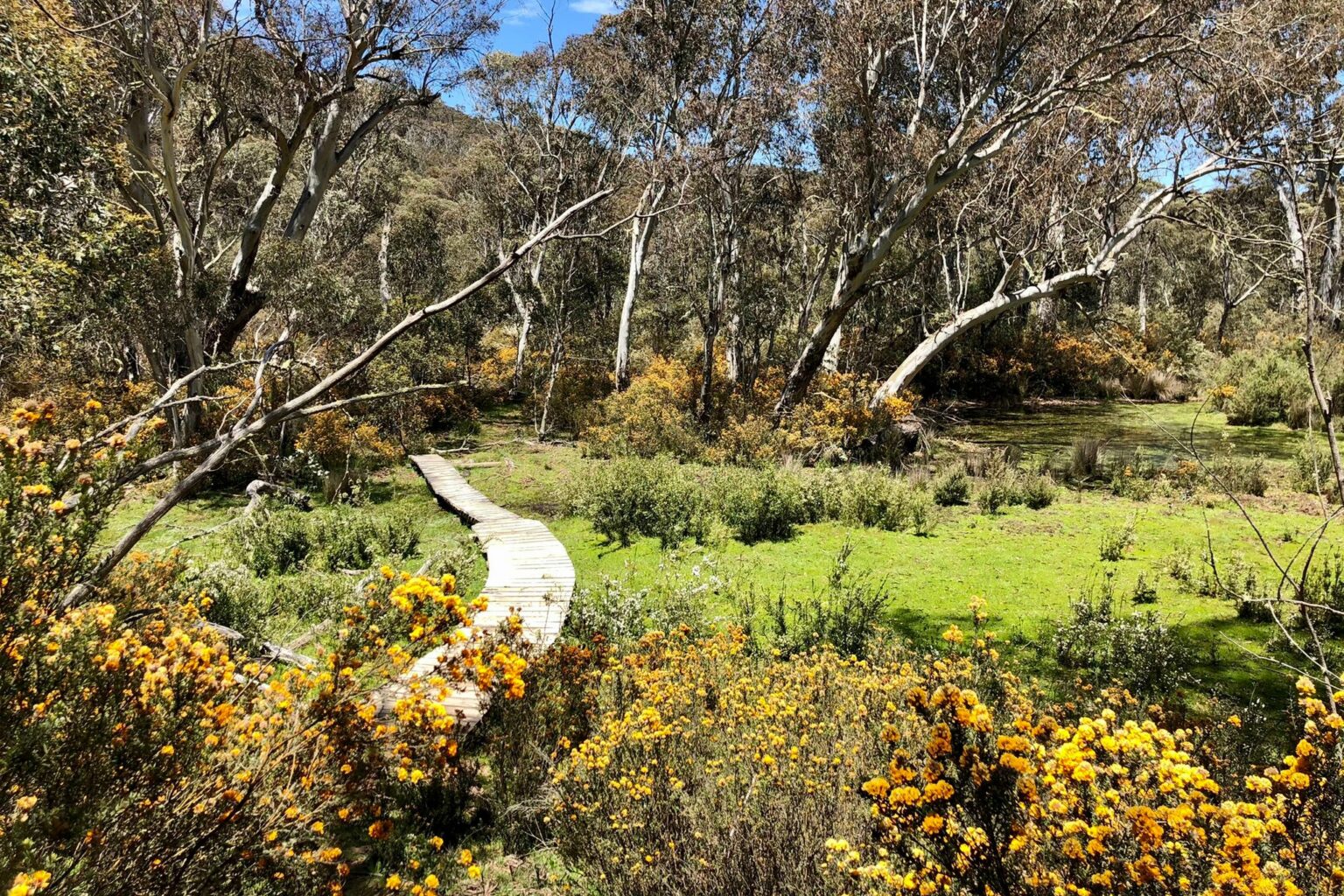 Our Country | Gunaikurnai Land and Waters Aboriginal Corporation