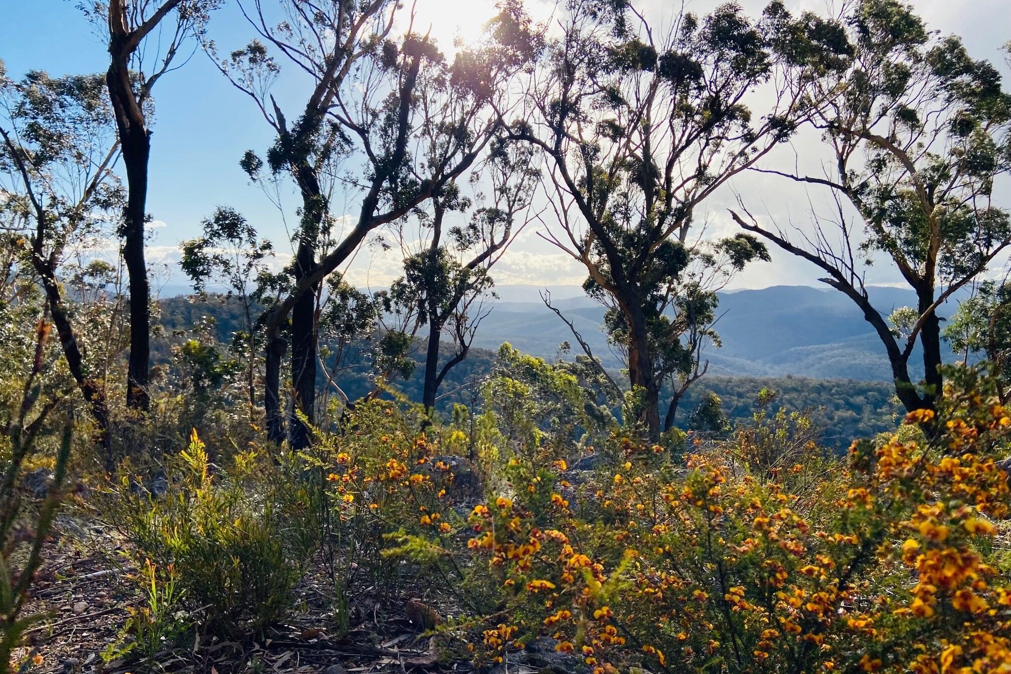 Our Country | Gunaikurnai Land and Waters Aboriginal Corporation